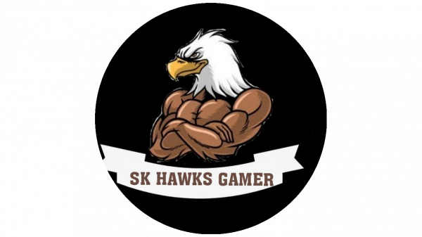 About: Everything You Need to Know | SK HAWKS GAMER